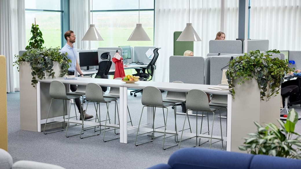 How biophilic office design creates a better work environment | AJ ...