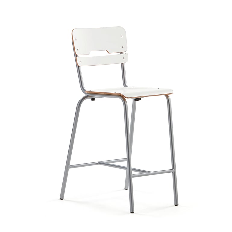 Classroom chair SCIENTIA, H 650 mm, silver/white | AJ Products IE