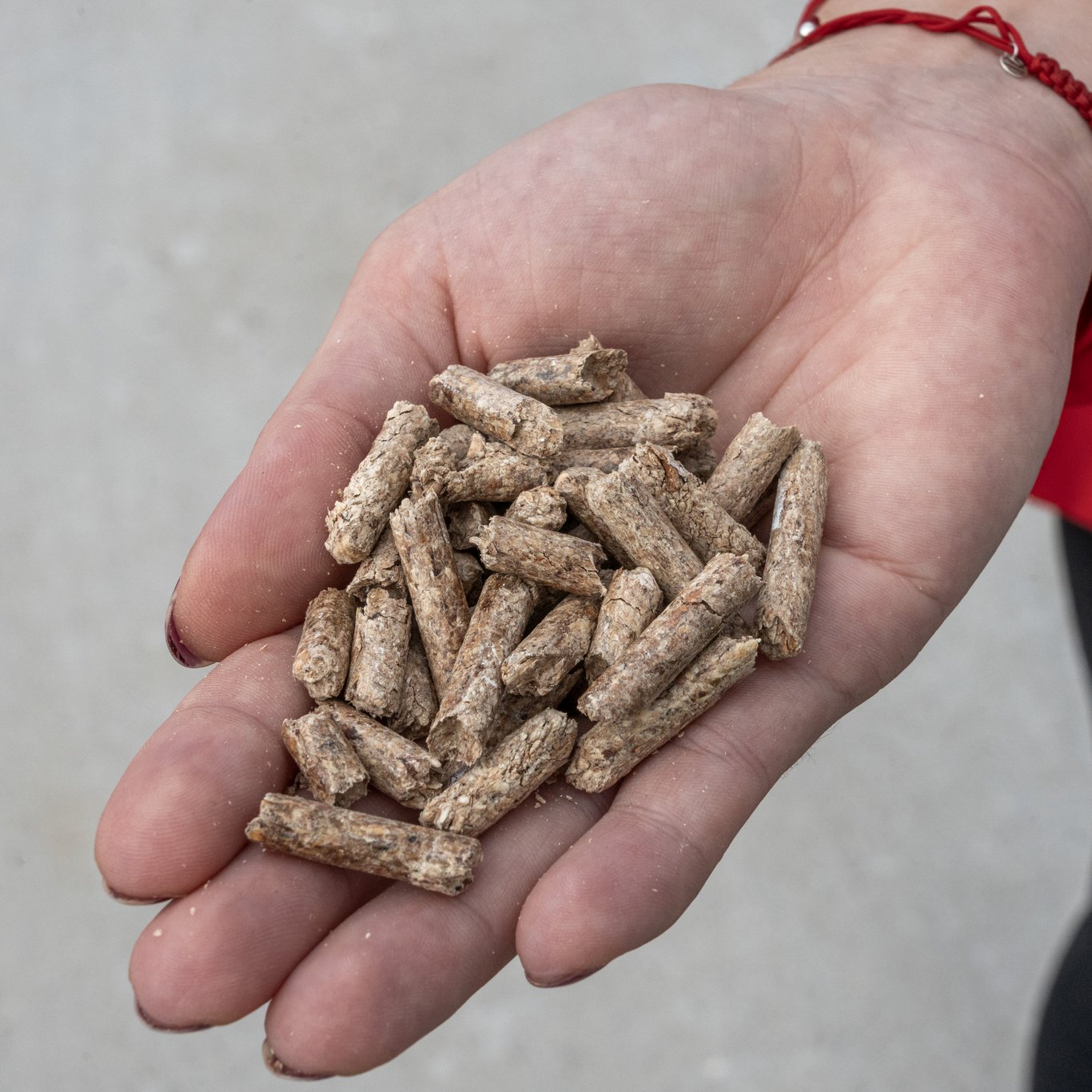 Furniture Factory Goes Green: Discovering Sustainable Manufacturing ...